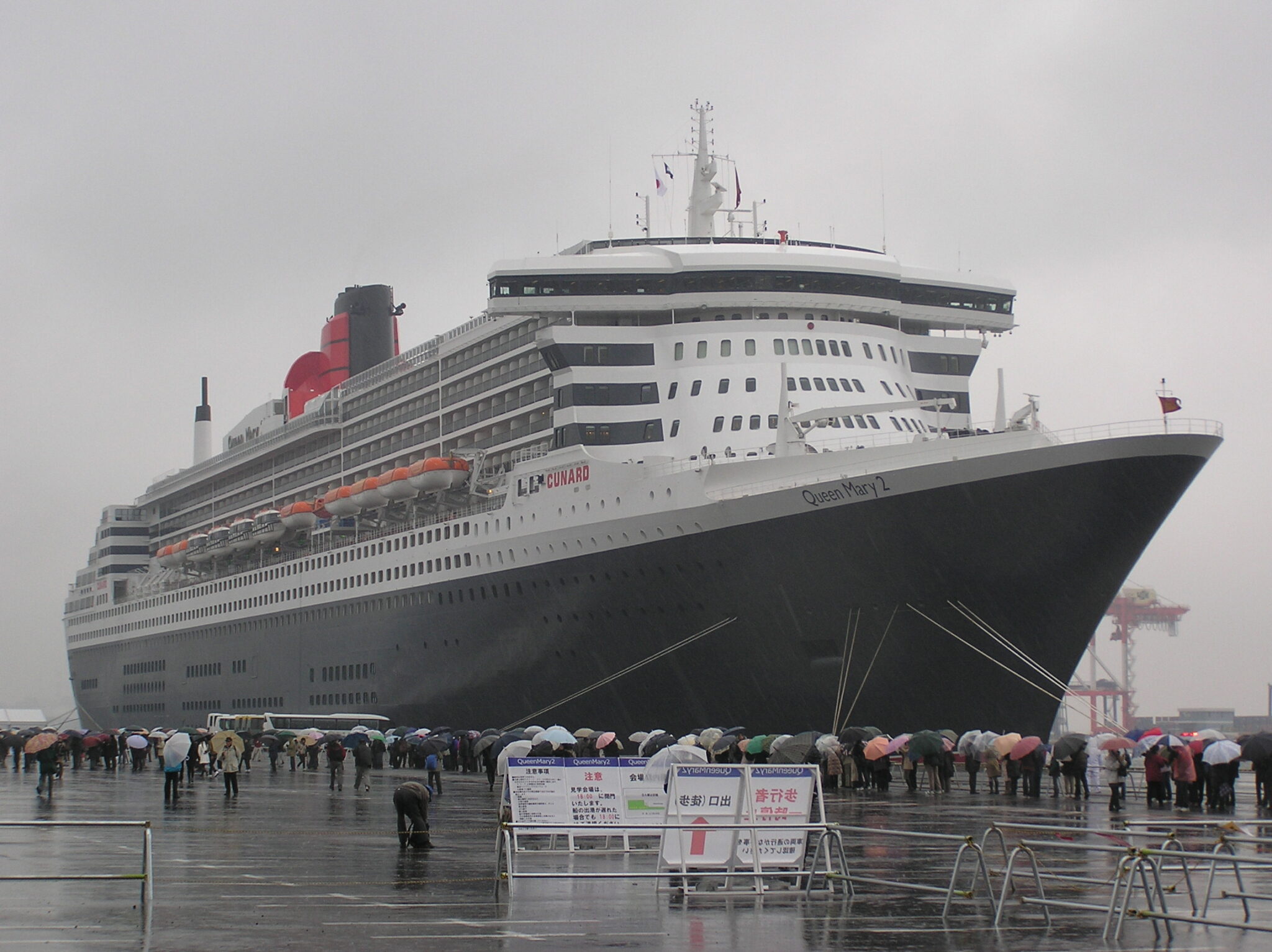 none | フネコ - Funeco